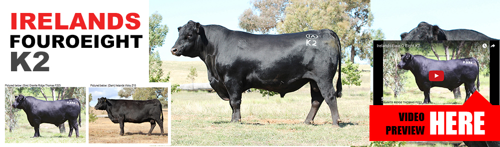 IRELANDS FOUROEIGHT K2 | Irelands Angus